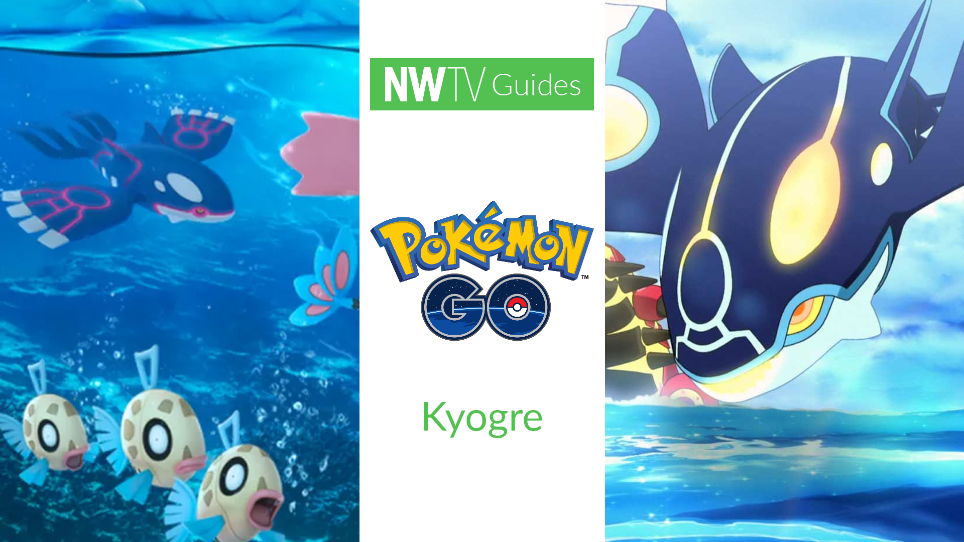 Alles over Pokémon GO Kyogre - NWTV
