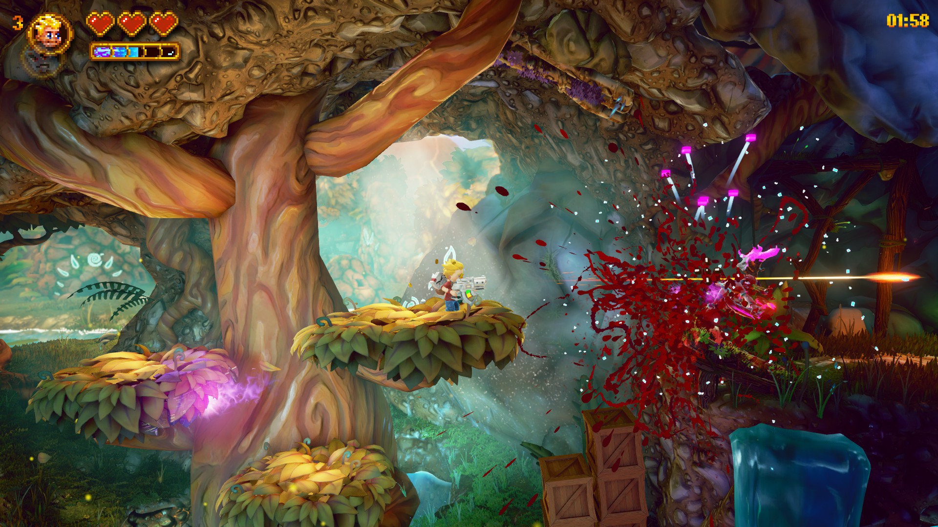 Review: Rad Rodgers - NWTV