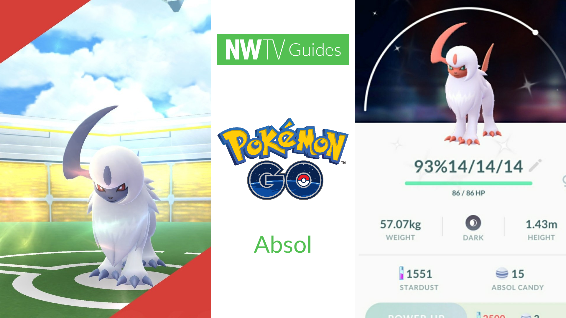 Pokémon GO Absol raidguide - NWTV
