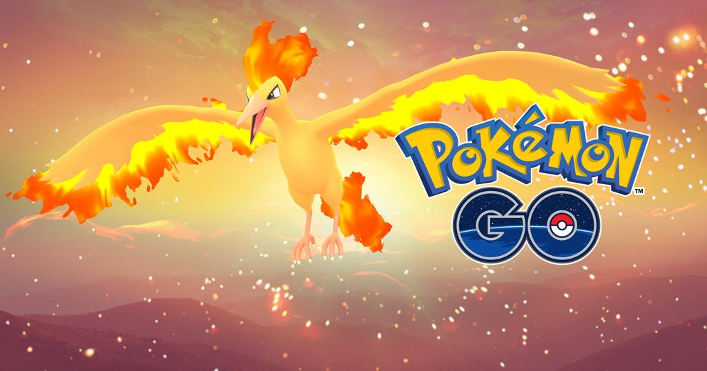 Lees hier alles wat je wilt weten over Moltres - NWTV