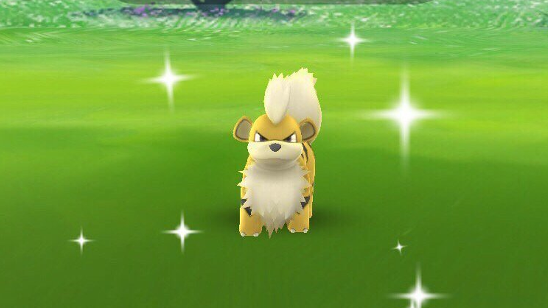 Shiny Growlithe opgedoken in Pokémon GO - NWTV