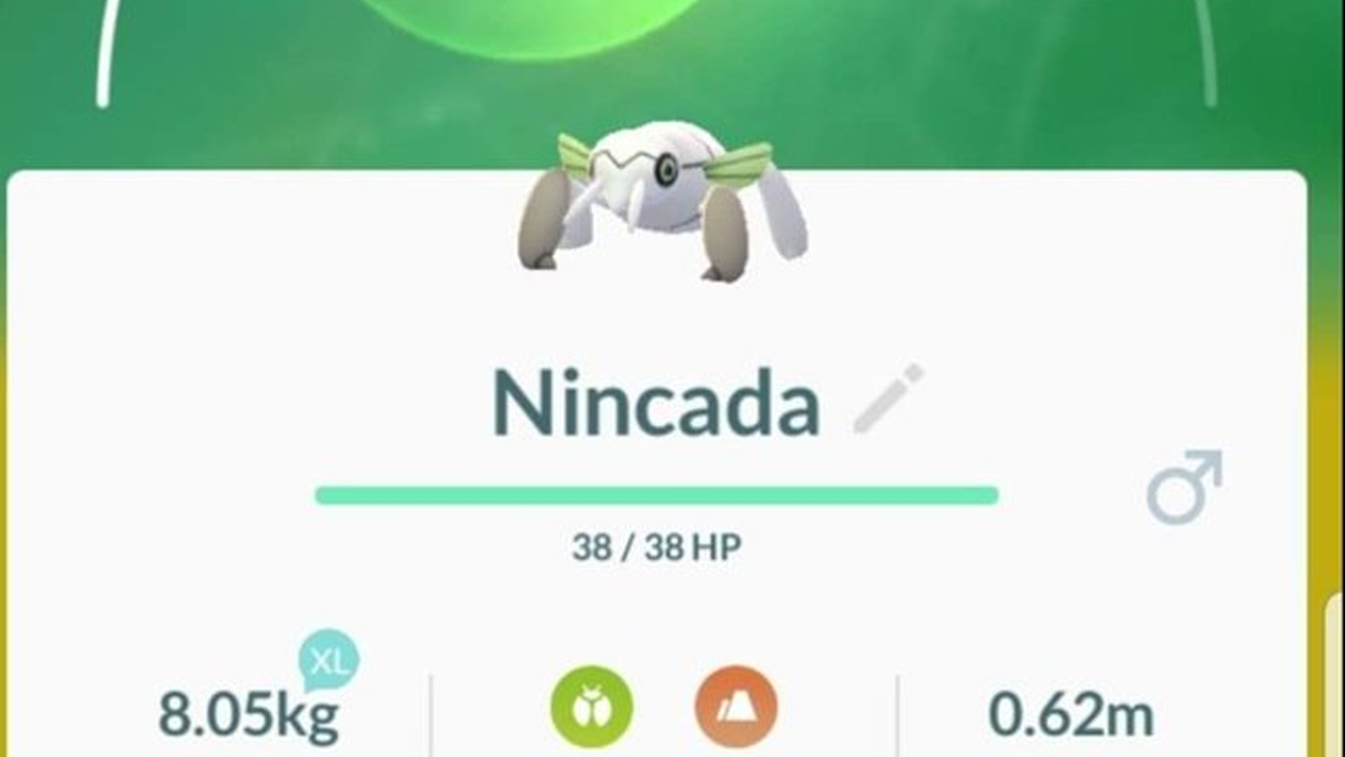 Nincada en Ninjask duiken ook alsnog op in Pokémon GO - NWTV
