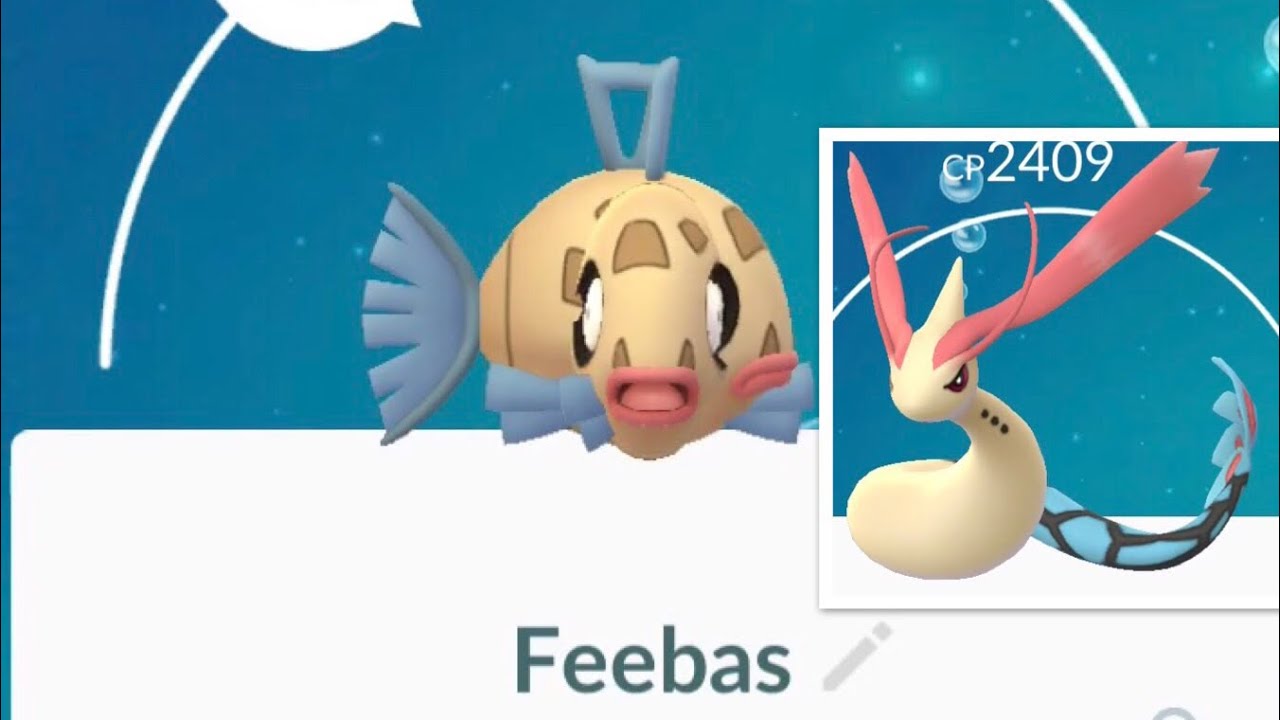 Bekijk het Feebas level 15 CP-overzicht - NWTV