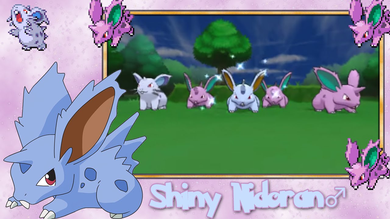 Bekijk de shiny Nidoran (male)-familie nu alvast! - NWTV
