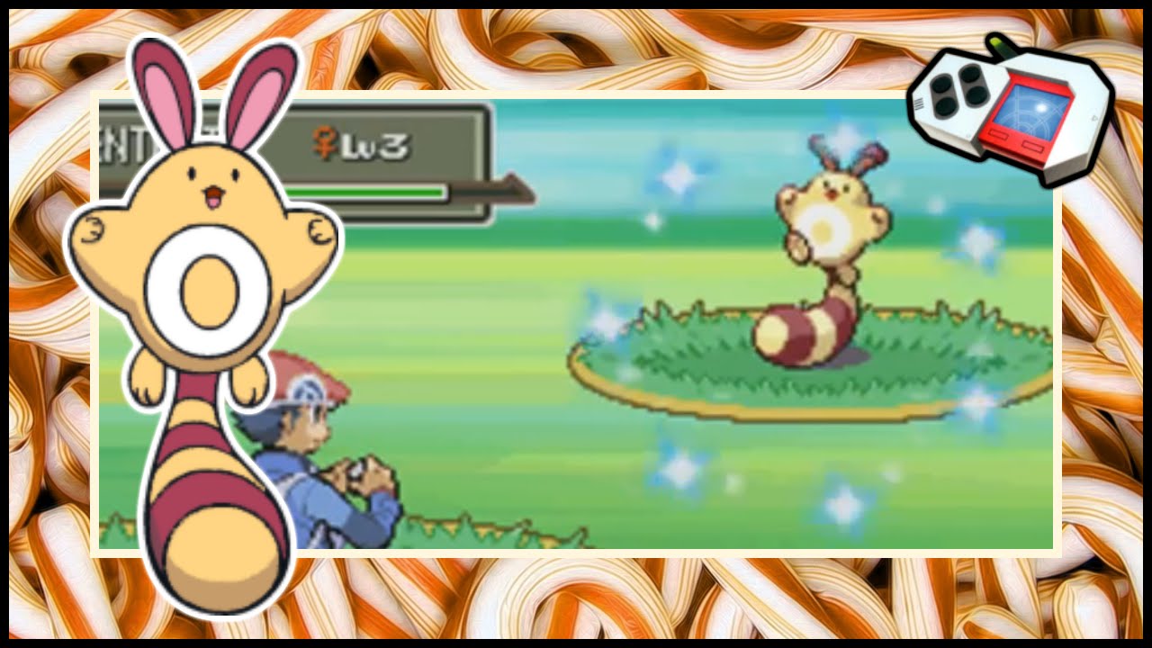 Bekijk de shiny Sentret-familie nu alvast! - NWTV